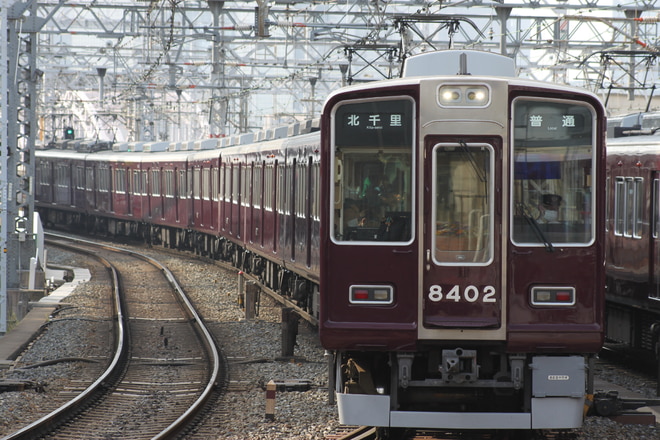 正雀車庫 8300系 8302F の写真 |鉄道写真投稿サイトTrain-Directory