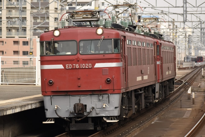門司機関区 ED76 ED76–1020 の写真 |鉄道写真投稿サイトTrain-Directory