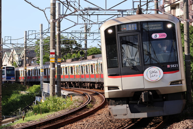 元住吉検車区 5000系 5121F の写真 |鉄道写真投稿サイトTrain-Directory