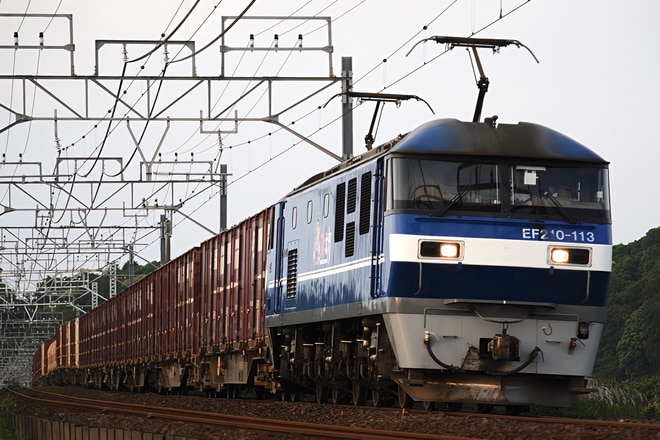 新鶴見機関区 ef210 113 の写真 |鉄道写真投稿サイトTrain-Directory