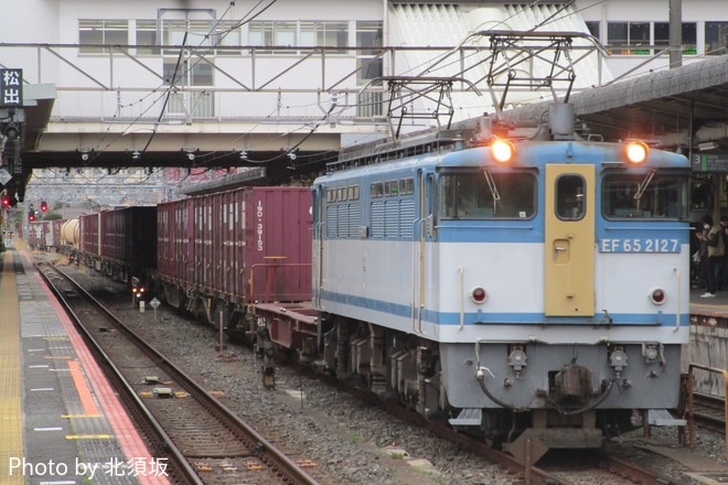 新鶴見機関区 EF65 2127 の写真 |鉄道写真投稿サイトTrain-Directory