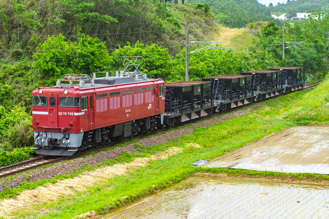 仙台車両センター ED75 759 の写真 |鉄道写真投稿サイトTrain-Directory