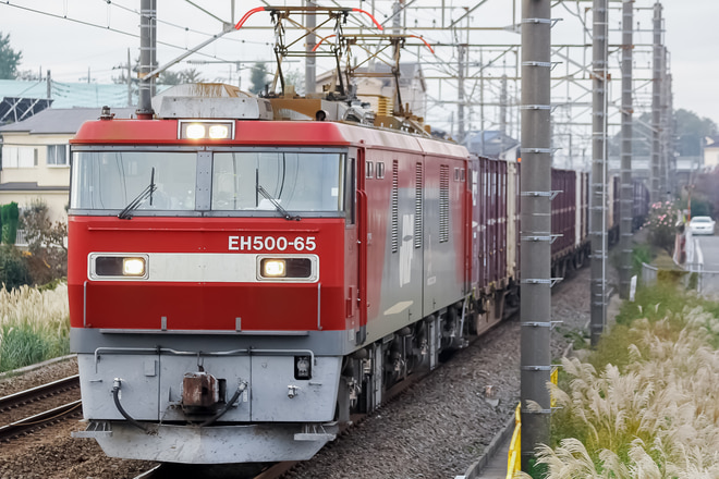 EH500 65 の写真 |鉄道写真投稿サイトTrain-Directory