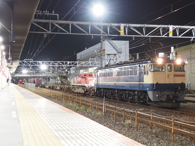 新鶴見機関区 EF65 2074 の写真 |鉄道写真投稿サイトTrain-Directory