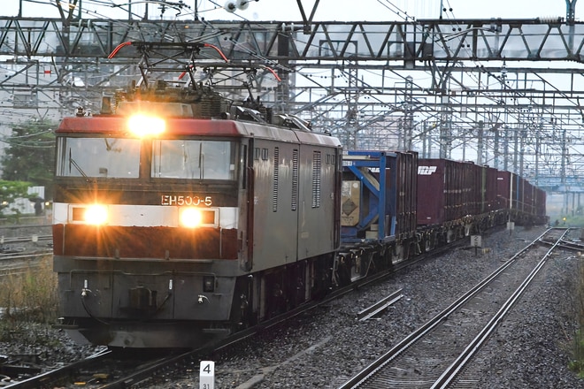 仙台総合鉄道部 EH500 5 の写真 |鉄道写真投稿サイトTrain-Directory