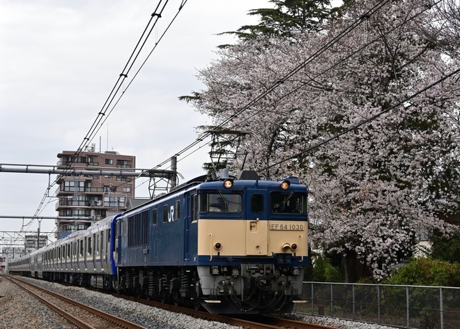 新潟車両センター EF64 1030 の写真 |鉄道写真投稿サイトTrain-Directory