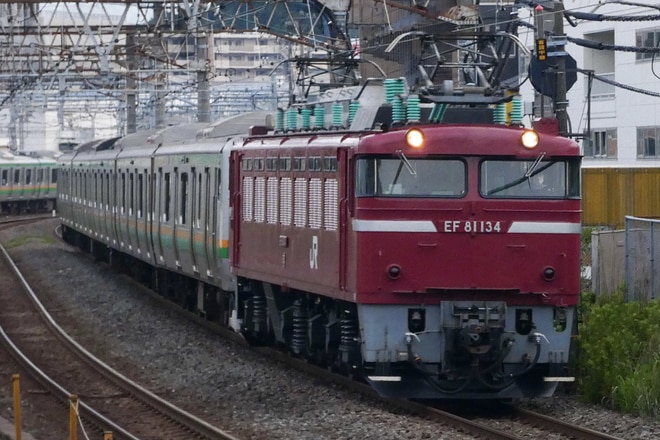 新潟車両センター EF81 134 の写真 |鉄道写真投稿サイトTrain-Directory