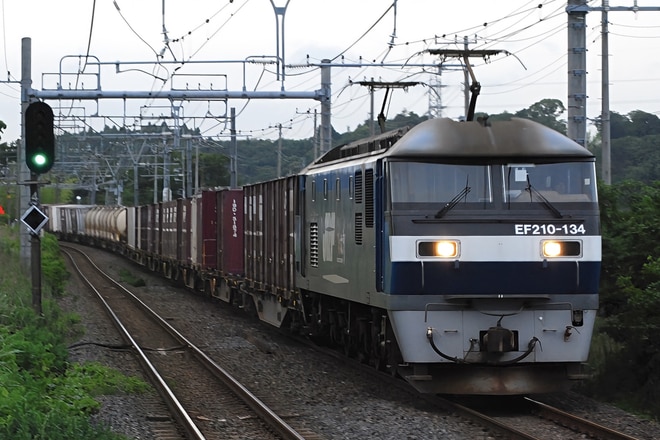 新鶴見機関区 EF210 134 の写真 |鉄道写真投稿サイトTrain-Directory