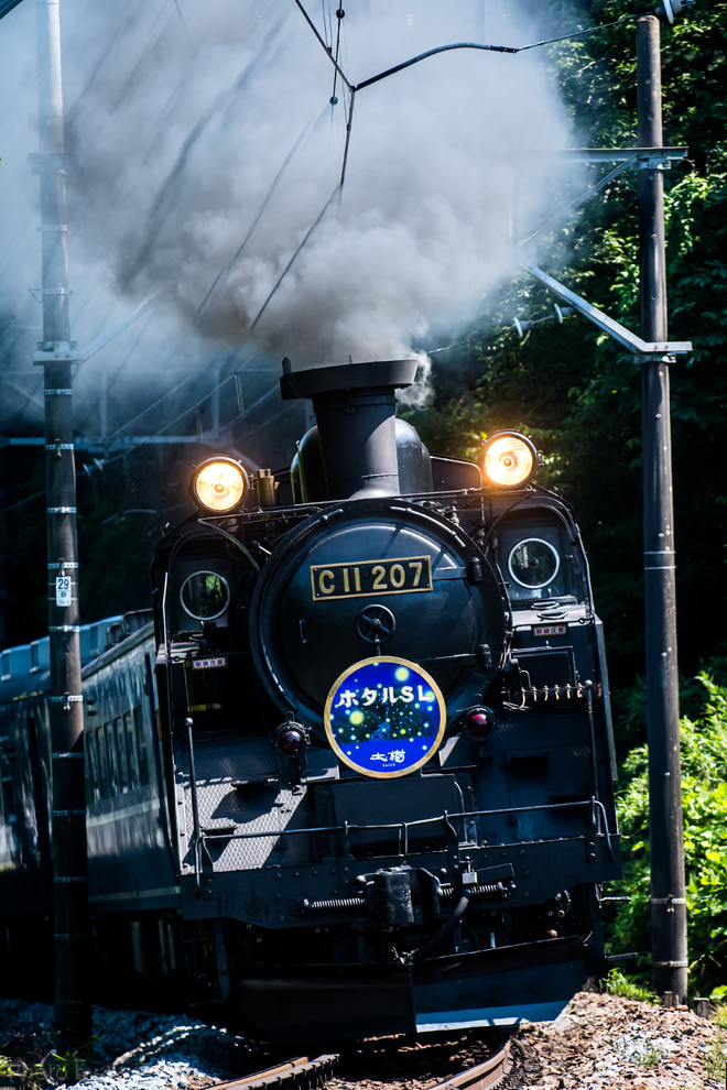 下今市機関区 C11 207 の写真 |鉄道写真投稿サイトTrain-Directory