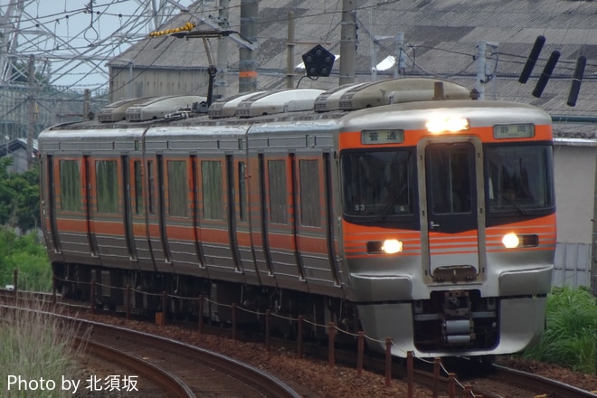 静岡車両区 313系 S3編成 の写真 |鉄道写真投稿サイトTrain-Directory