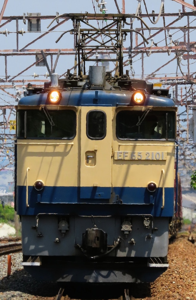 新鶴見機関区 EF65 2101 の写真 |鉄道写真投稿サイトTrain-Directory