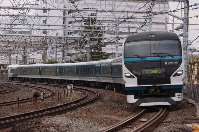 大宮総合車両センター東大宮センター E257系 NA-05編成 の写真 |鉄道写真投稿サイトTrain-Directory