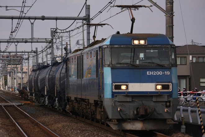 高崎機関区 EH200形 19 の写真 |鉄道写真投稿サイトTrain-Directory
