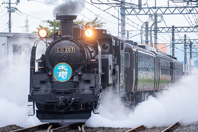 下今市機関区 C11 207 の写真 |鉄道写真投稿サイトTrain-Directory