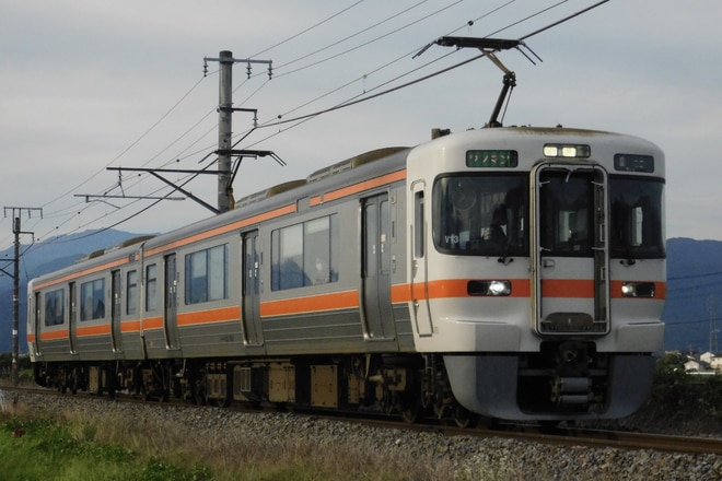 静岡車両区 313系 シスV13編成 の写真 |鉄道写真投稿サイトTrain-Directory