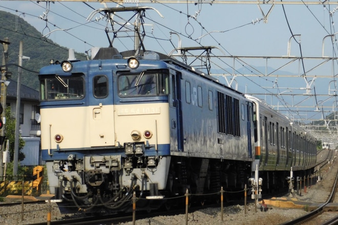 新潟車両センター EF64 1031 の写真 |鉄道写真投稿サイトTrain-Directory