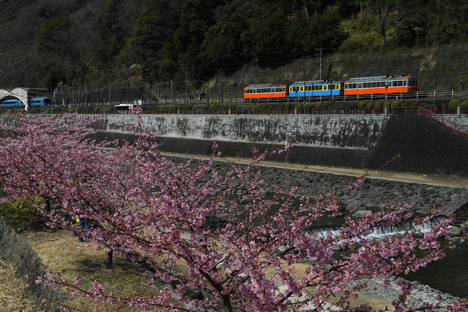入生田検車区 モハ1形 104-106号 の写真 |鉄道写真投稿サイトTrain-Directory