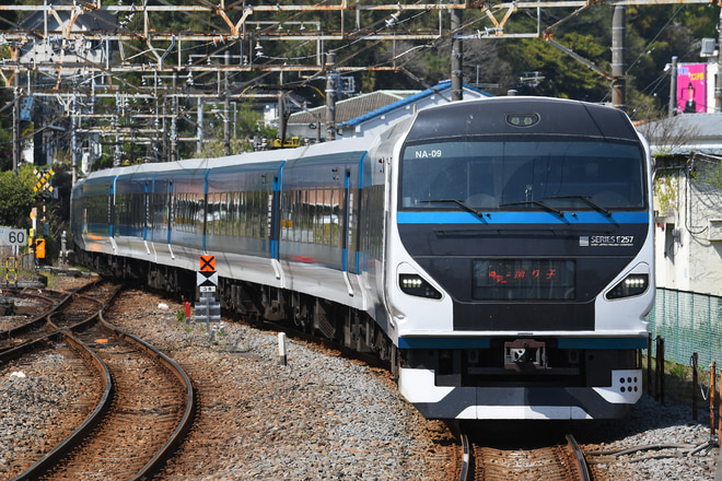 E257系 NA-09編成 の写真 |鉄道写真投稿サイトTrain-Directory