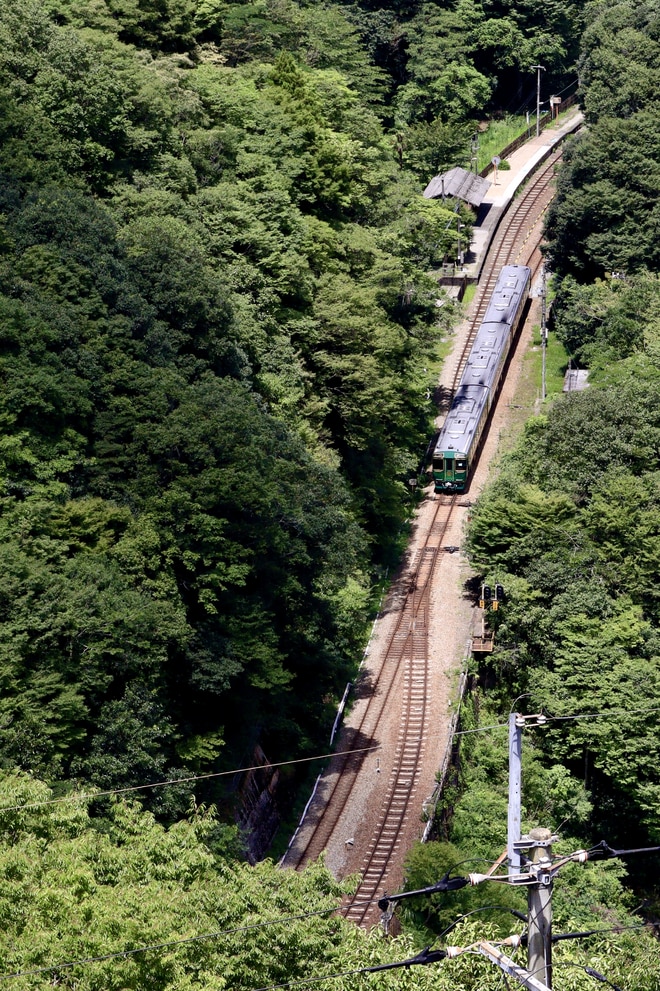 高松運転所 キロ185系 1001 の写真 |鉄道写真投稿サイトTrain-Directory