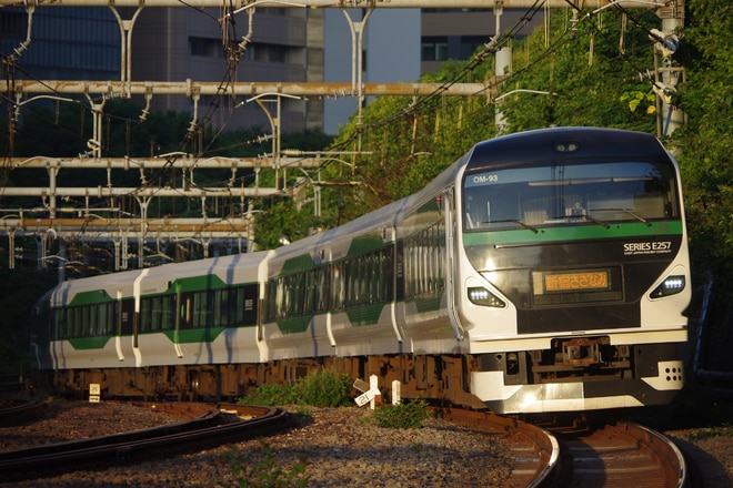 大宮総合車両センター東大宮センター E257系 オオOM-93編成 の写真 |鉄道写真投稿サイトTrain-Directory