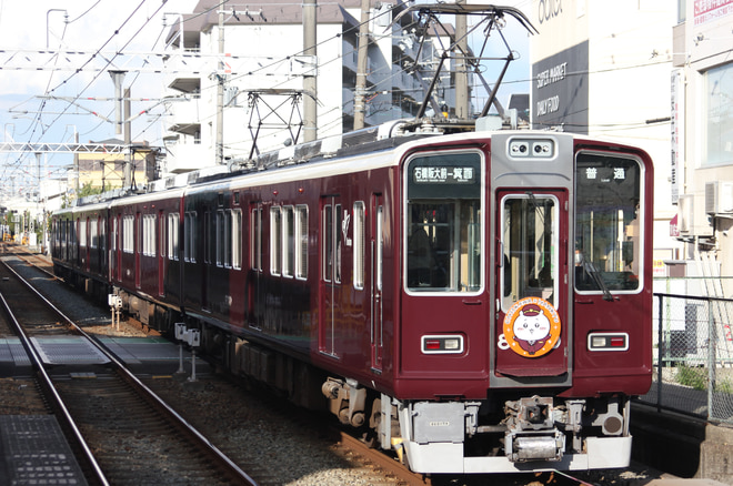 平井車庫 8000系 8030F の写真 |鉄道写真投稿サイトTrain-Directory