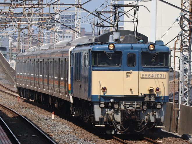 EF64 1031 の写真 |鉄道写真投稿サイトTrain-Directory