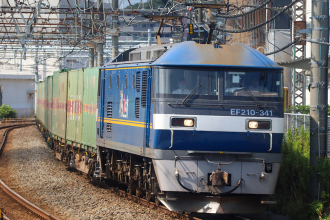 EF210 341 の写真 |鉄道写真投稿サイトTrain-Directory
