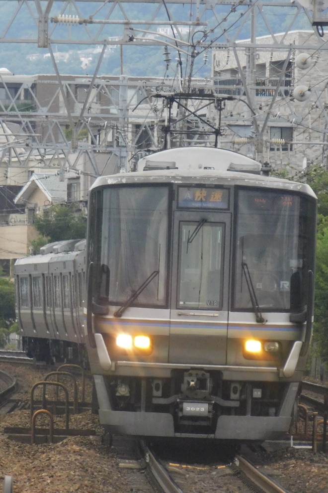 網干総合車両所 223系 V19編成 の写真 |鉄道写真投稿サイトTrain-Directory