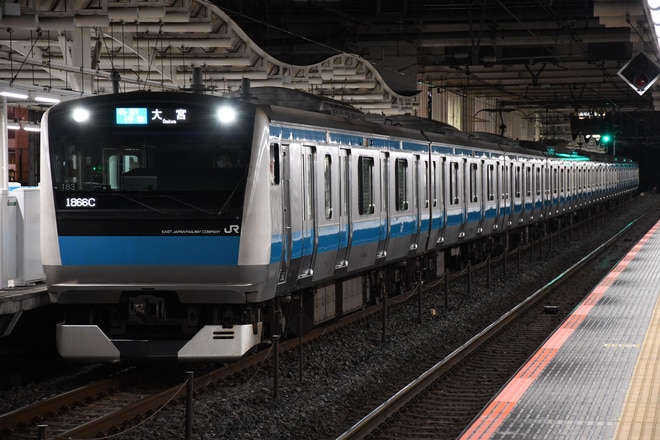 さいたま車両センター E233系 サイ183編成 の写真 |鉄道写真投稿サイトTrain-Directory