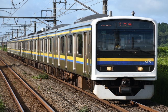 幕張車両センター 209系 マリC431編成 の写真 |鉄道写真投稿サイトTrain-Directory
