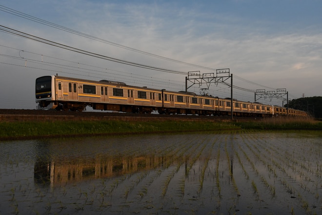 幕張車両センター 209系 マリC424編成 の写真 |鉄道写真投稿サイトTrain-Directory