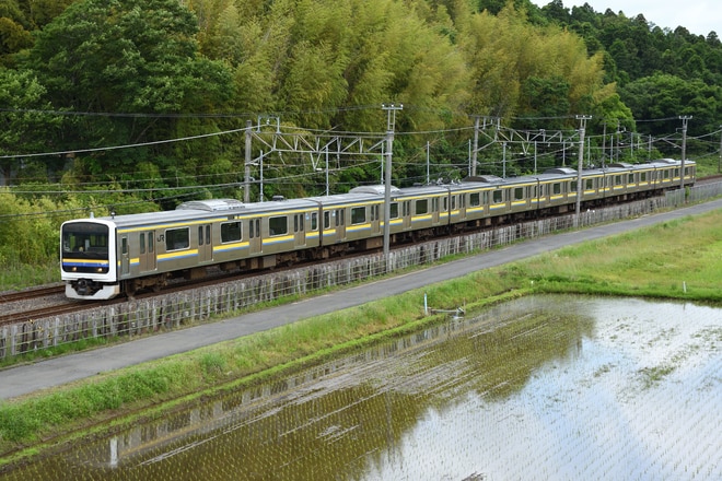 幕張車両センター 209系 マリC615編成 の写真 |鉄道写真投稿サイトTrain-Directory