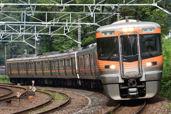 静岡車両区 313系 シスS1編成 の写真 |鉄道写真投稿サイトTrain-Directory