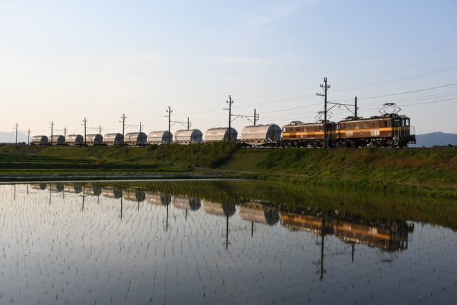 保々車両区 ED45形 ED456 の写真 |鉄道写真投稿サイトTrain-Directory