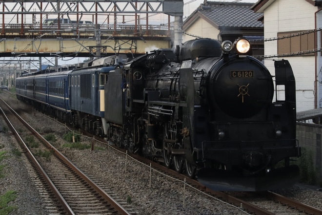 高崎車両センター高崎支所 C61 20 の写真 |鉄道写真投稿サイトTrain-Directory