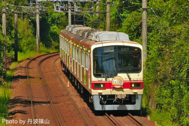 鈴蘭台車庫 5000系 5014F の写真 |鉄道写真投稿サイトTrain-Directory