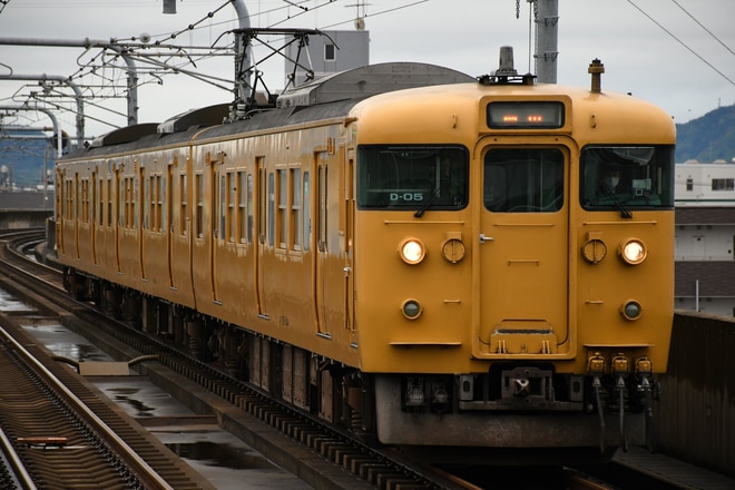 岡山電車区 115系 D-05編成 の写真 |鉄道写真投稿サイトTrain-Directory