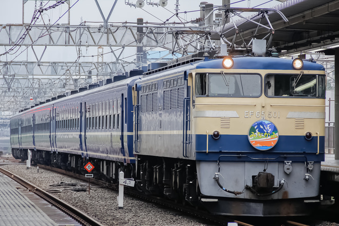 EF65 501 の写真 |鉄道写真投稿サイトTrain-Directory