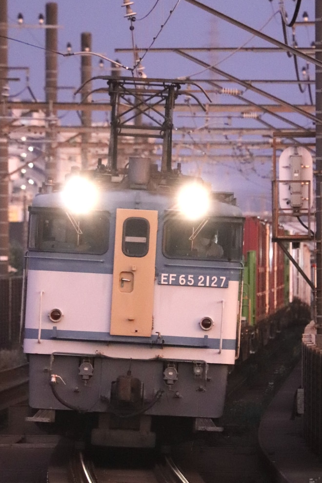 新鶴見機関区 EF65 2127 の写真 |鉄道写真投稿サイトTrain-Directory