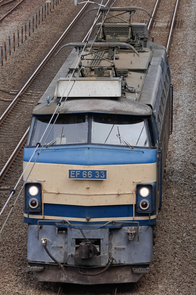 EF66 33 の写真 |鉄道写真投稿サイトTrain-Directory