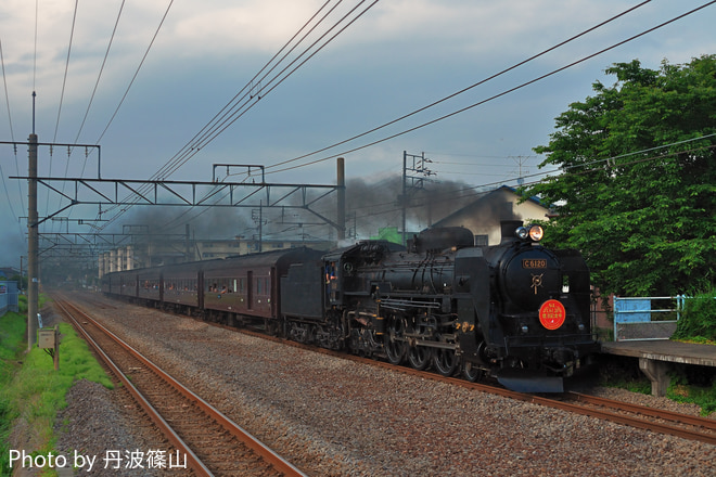 高崎車両センター高崎支所 C61 20 の写真 |鉄道写真投稿サイトTrain-Directory