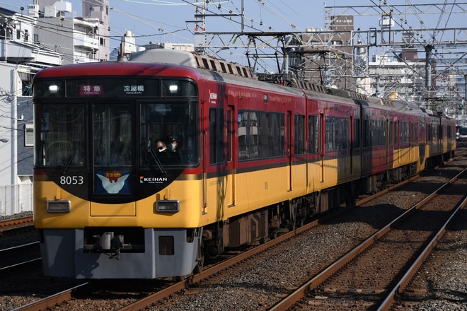 8000系 8003F の写真 |鉄道写真投稿サイトTrain-Directory