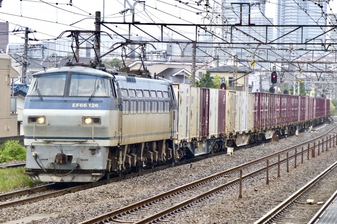 吹田機関区 EF66 126 の写真 |鉄道写真投稿サイトTrain-Directory