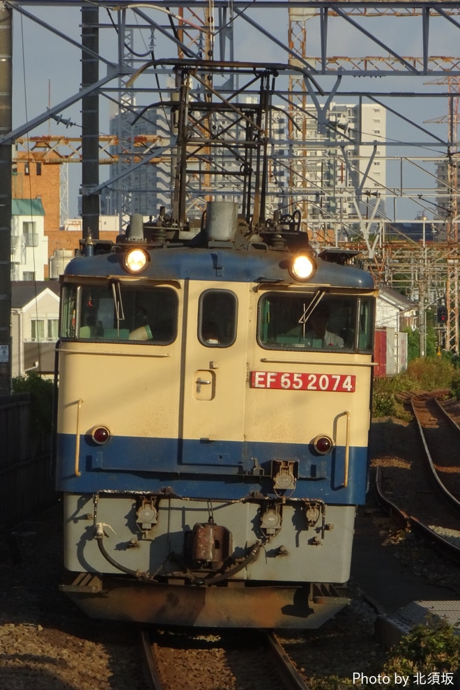 新鶴見機関区 EF65 2074 の写真 |鉄道写真投稿サイトTrain-Directory