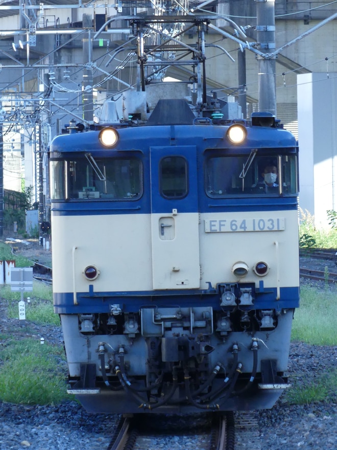 新潟車両センター EF64 1031 の写真 |鉄道写真投稿サイトTrain-Directory