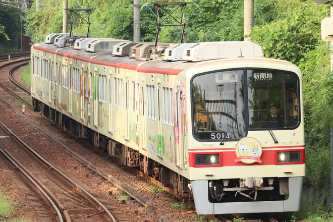 鈴蘭台車庫 5000系 5014F の写真 |鉄道写真投稿サイトTrain-Directory