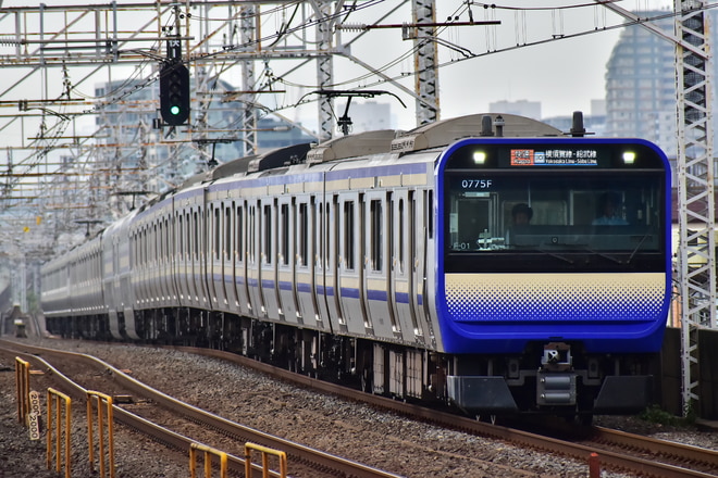 鎌倉車両センター本所 E235系 クラF-01編成 の写真 |鉄道写真投稿サイトTrain-Directory