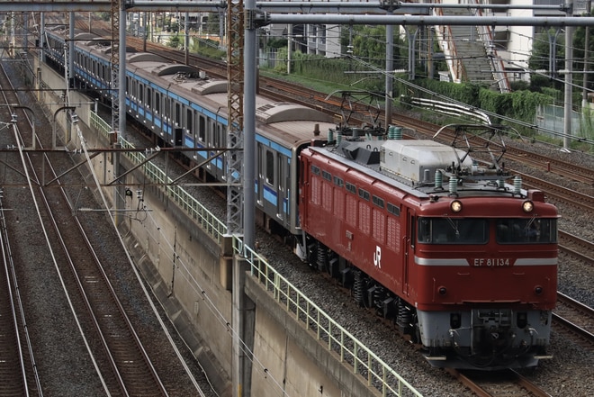 新潟車両センター EF81 134 の写真 |鉄道写真投稿サイトTrain-Directory