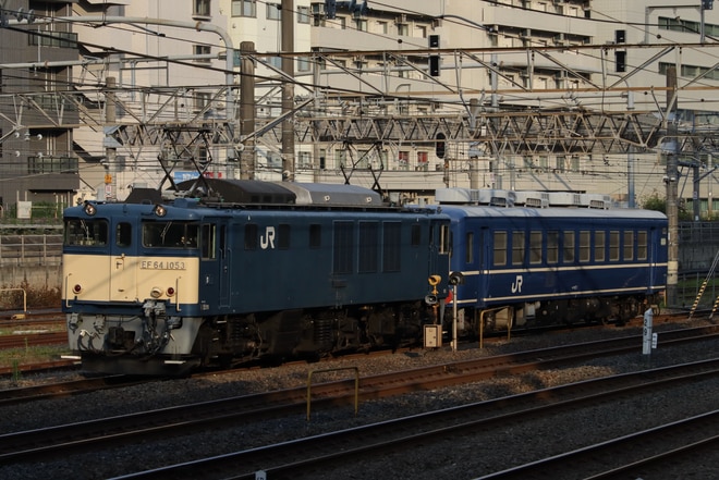 高崎車両センター高崎支所 EF64 1053 の写真 |鉄道写真投稿サイトTrain-Directory
