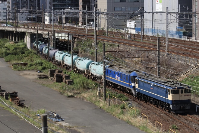 新鶴見機関区 EF65 2085 の写真 |鉄道写真投稿サイトTrain-Directory